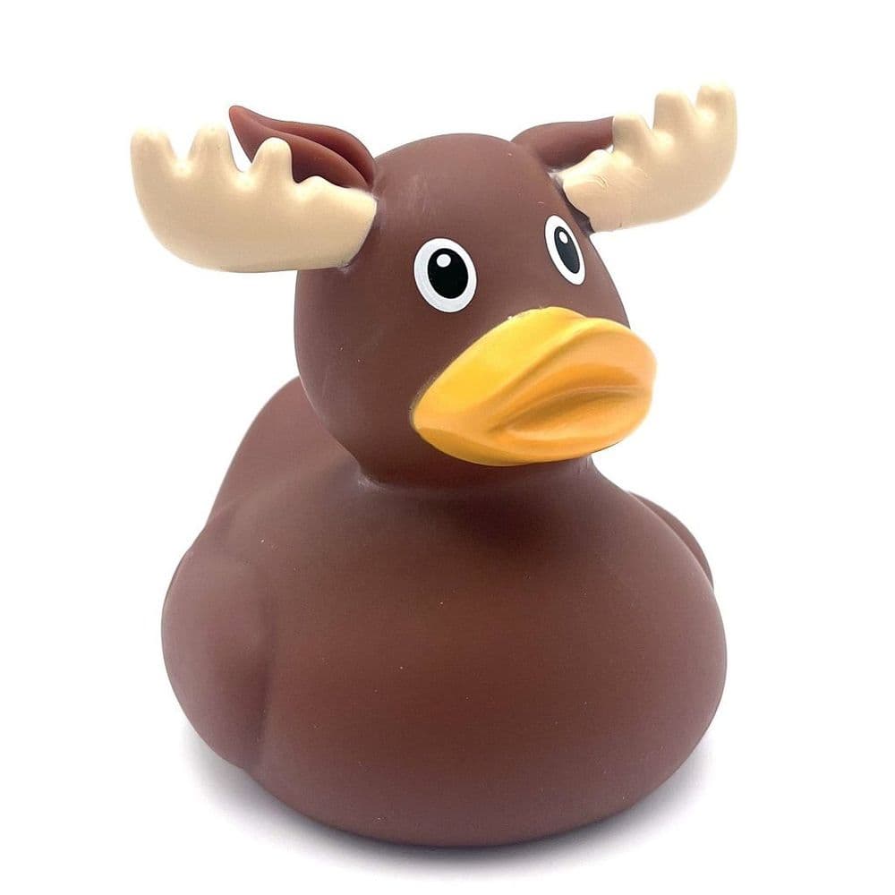 Moose Duck