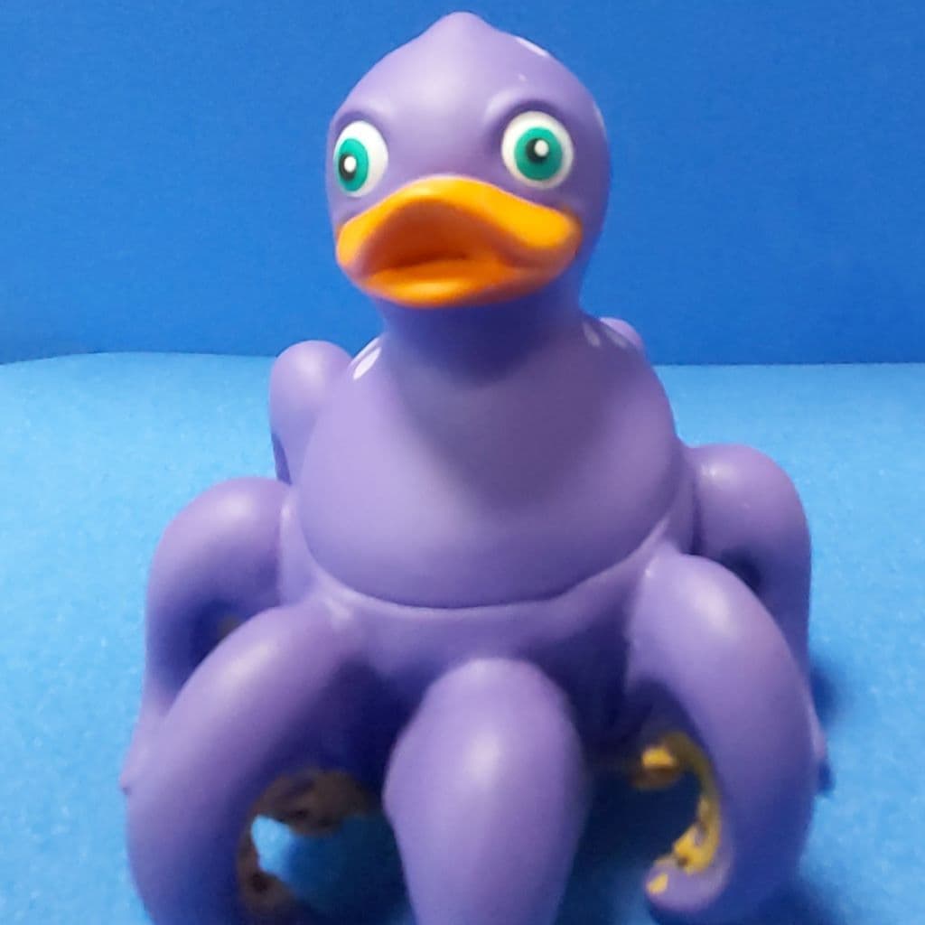 Octopus Duck