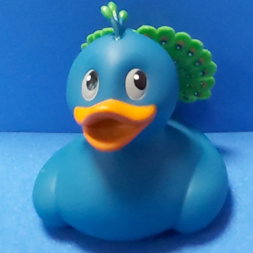 Peacock Duck