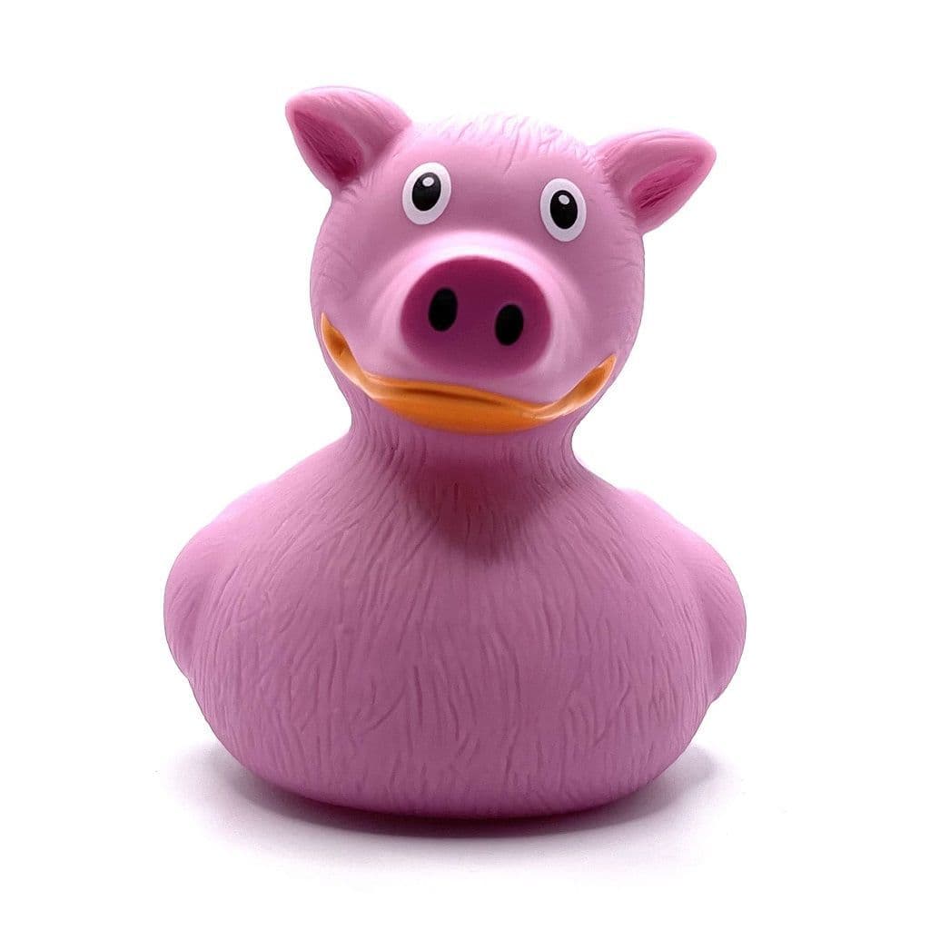 Pig Duck