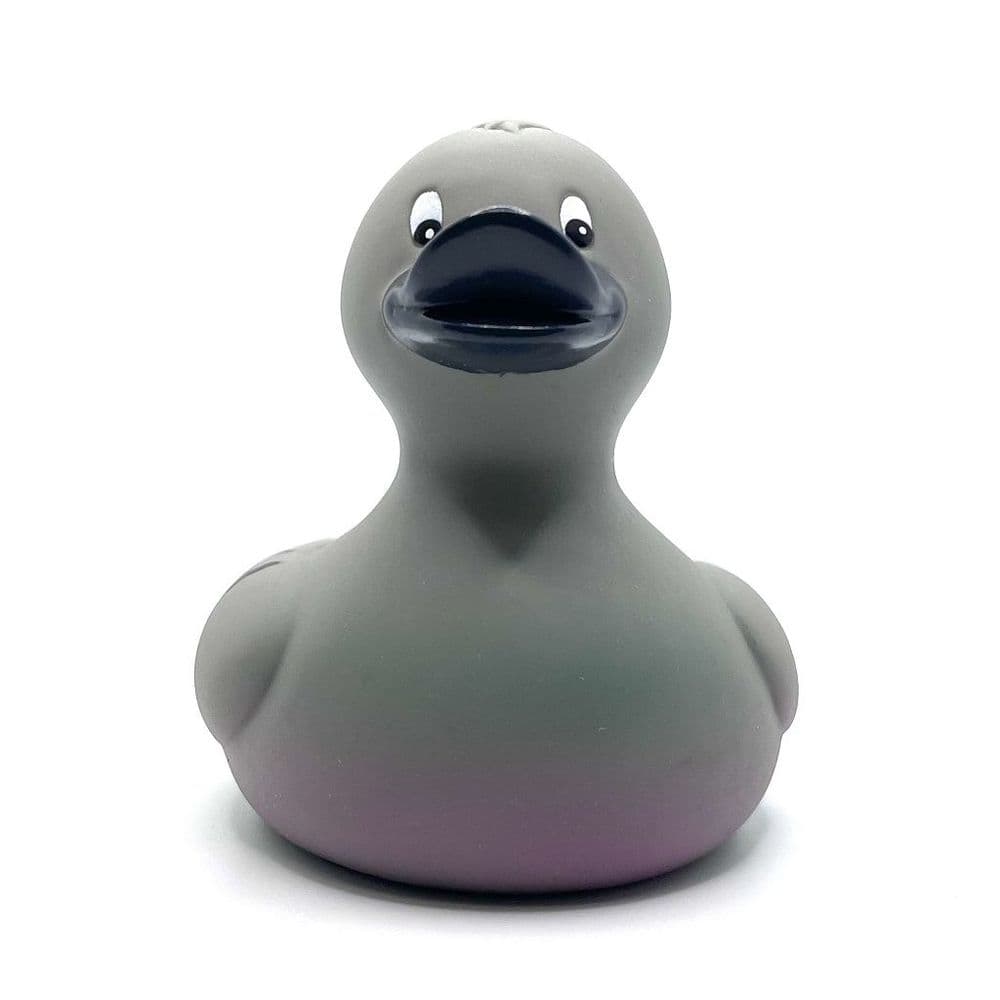 Pigeon Duck