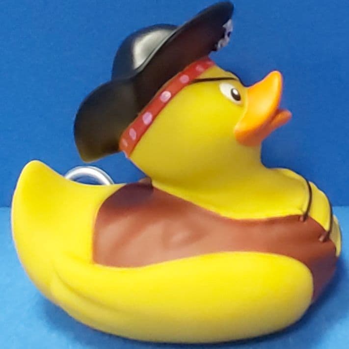 Pirate Duck
