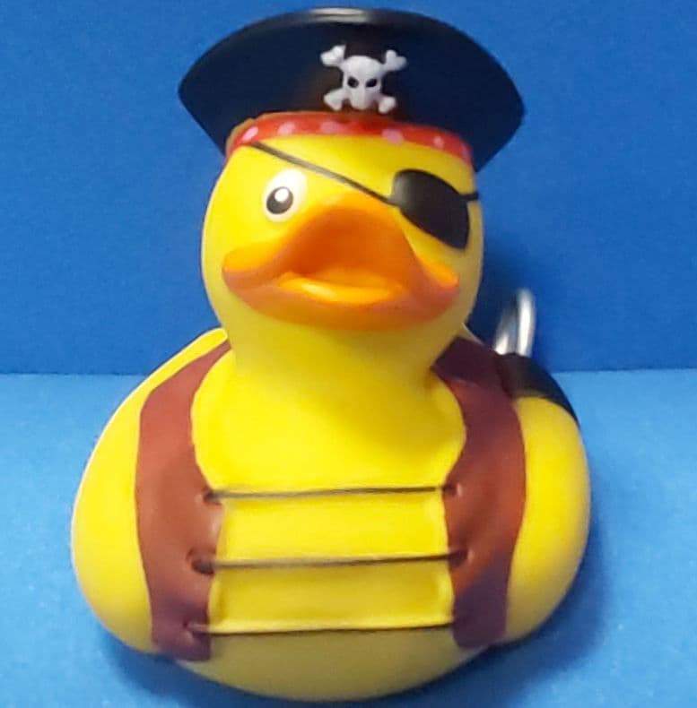 Pirate Duck