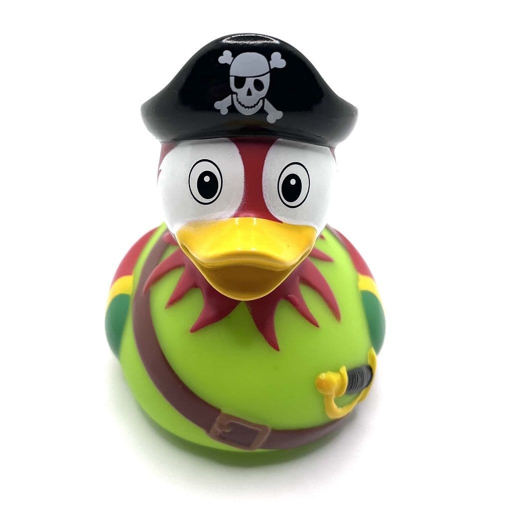 Pirate Parrot Duck