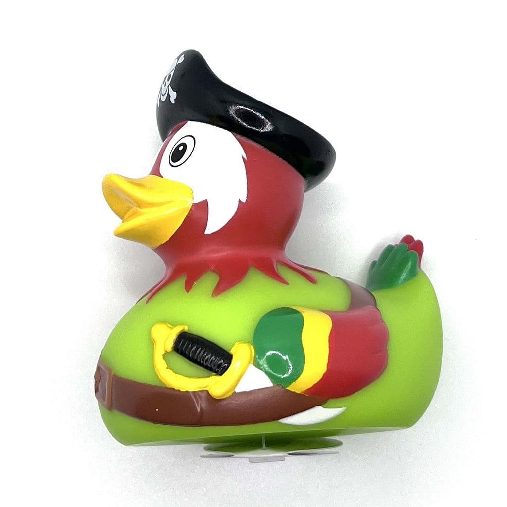 Pirate Parrot Duck