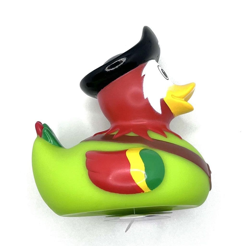 Pirate Parrot Duck