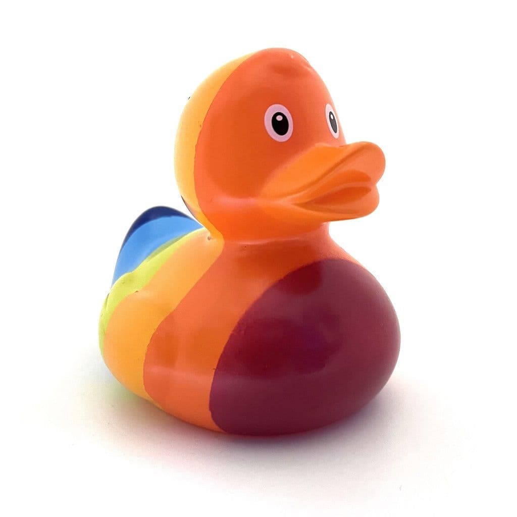 Rainbow Duck