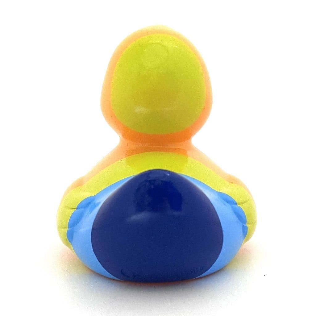 Rainbow Duck