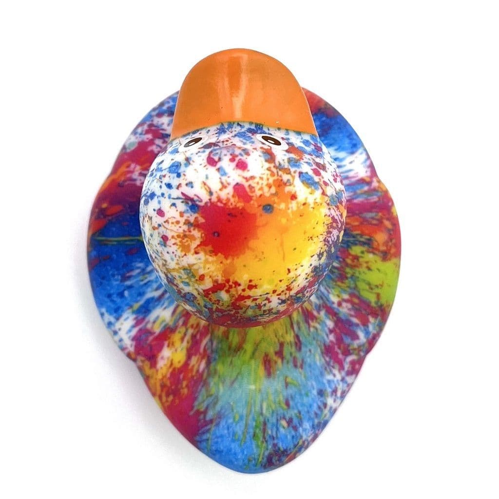 Rainbow Splash Duck