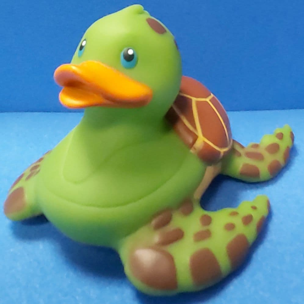 Sea Turtle Duck