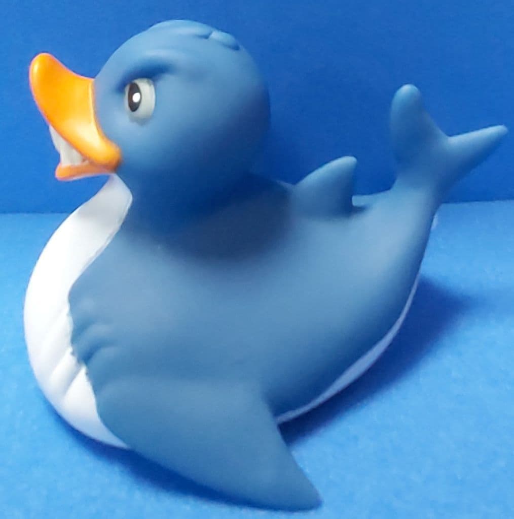 Shark Duck
