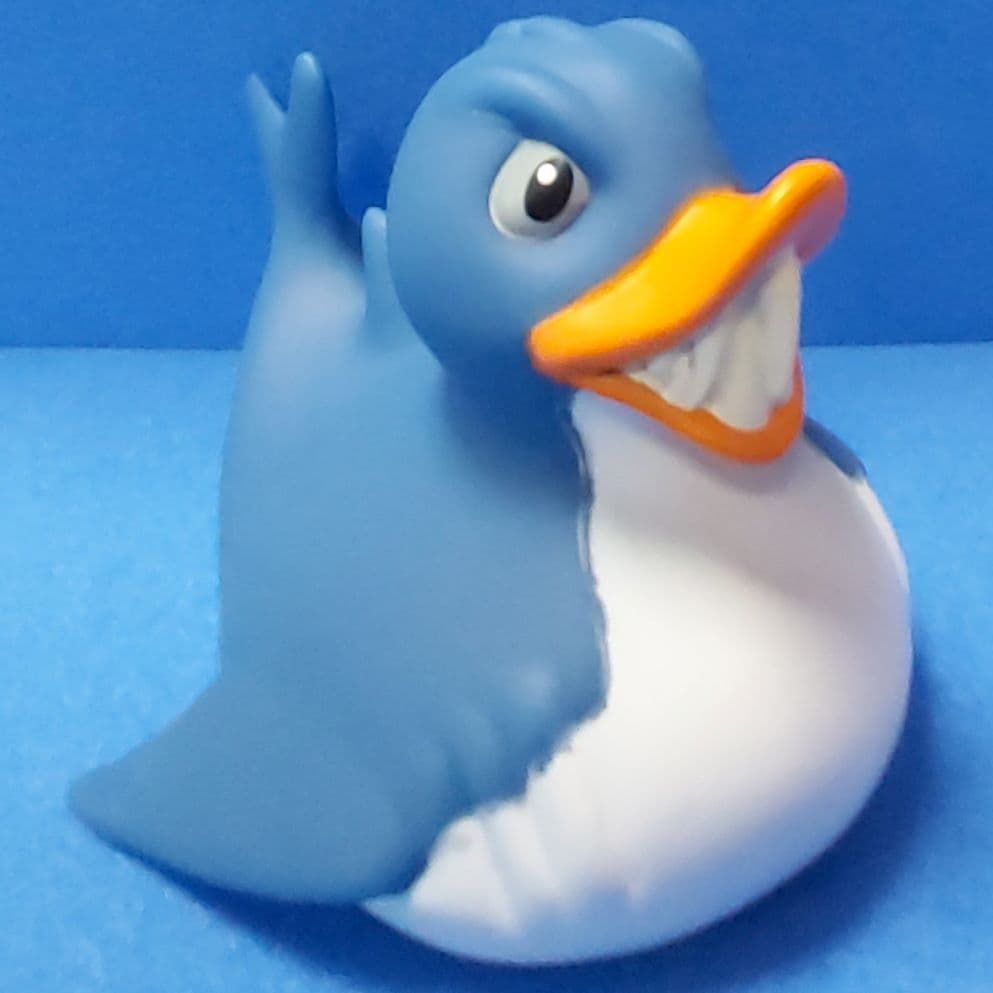 Shark Duck