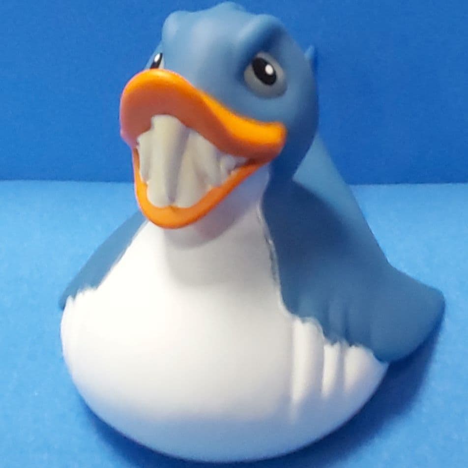 Shark Duck