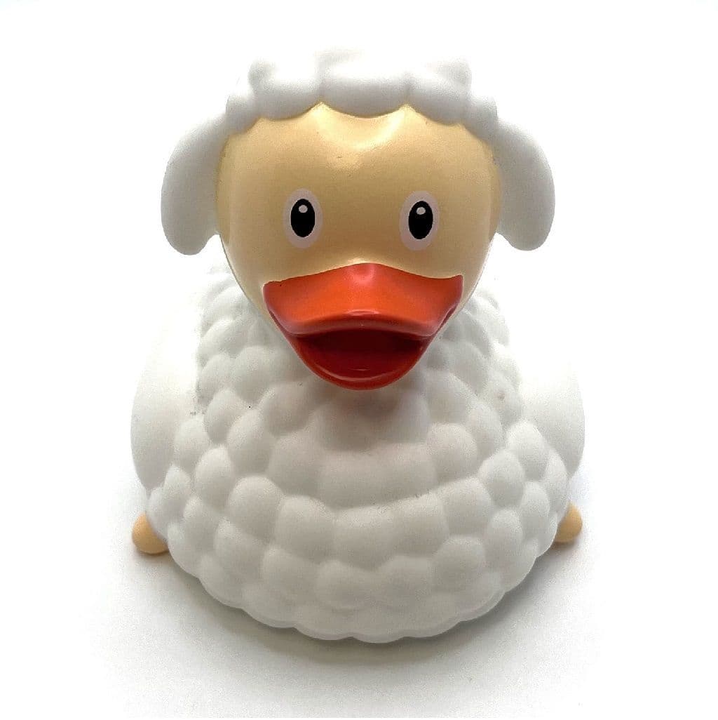 Sheep Duck