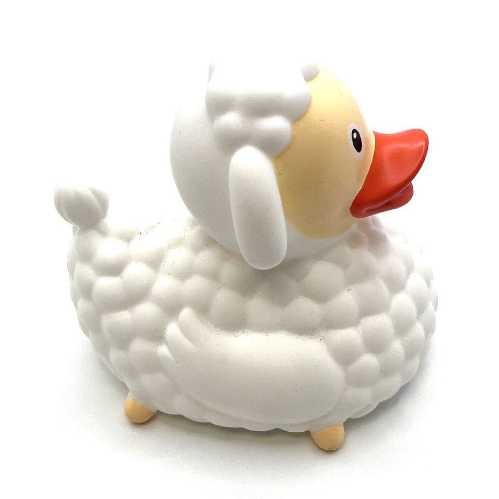 Sheep Duck