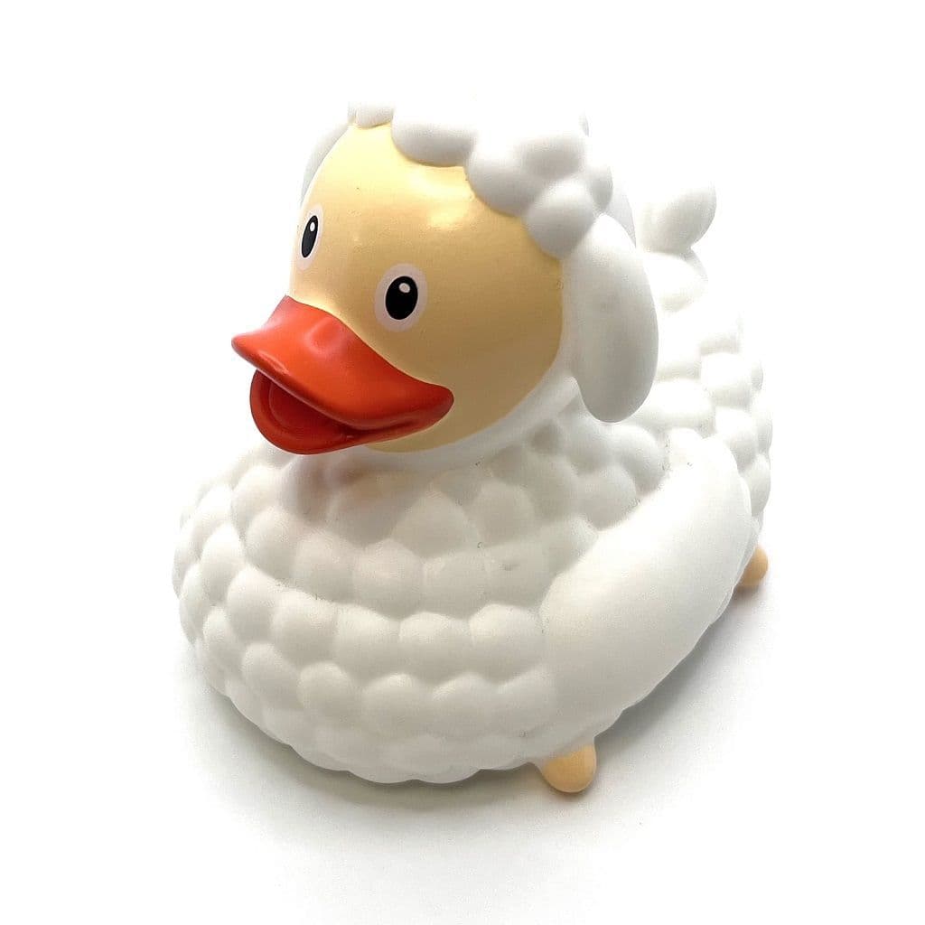 Sheep Duck