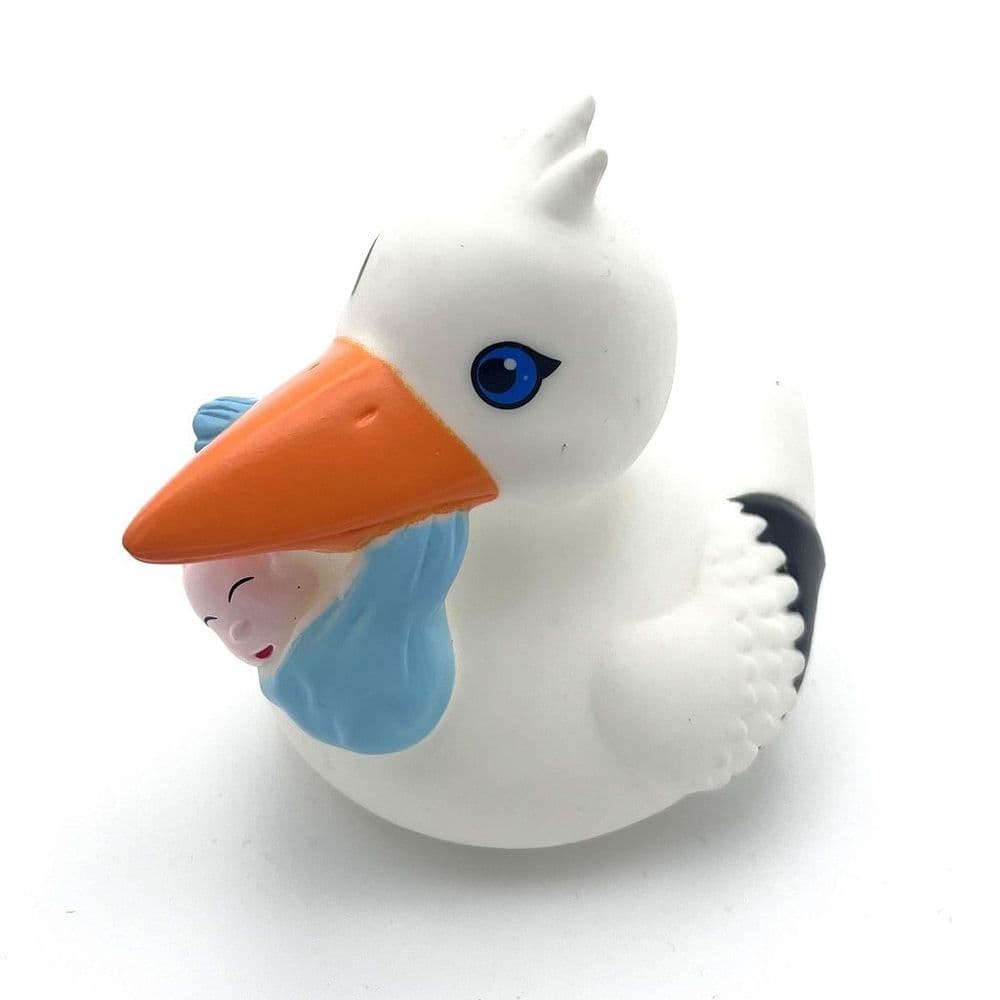 Stork Duck With Baby