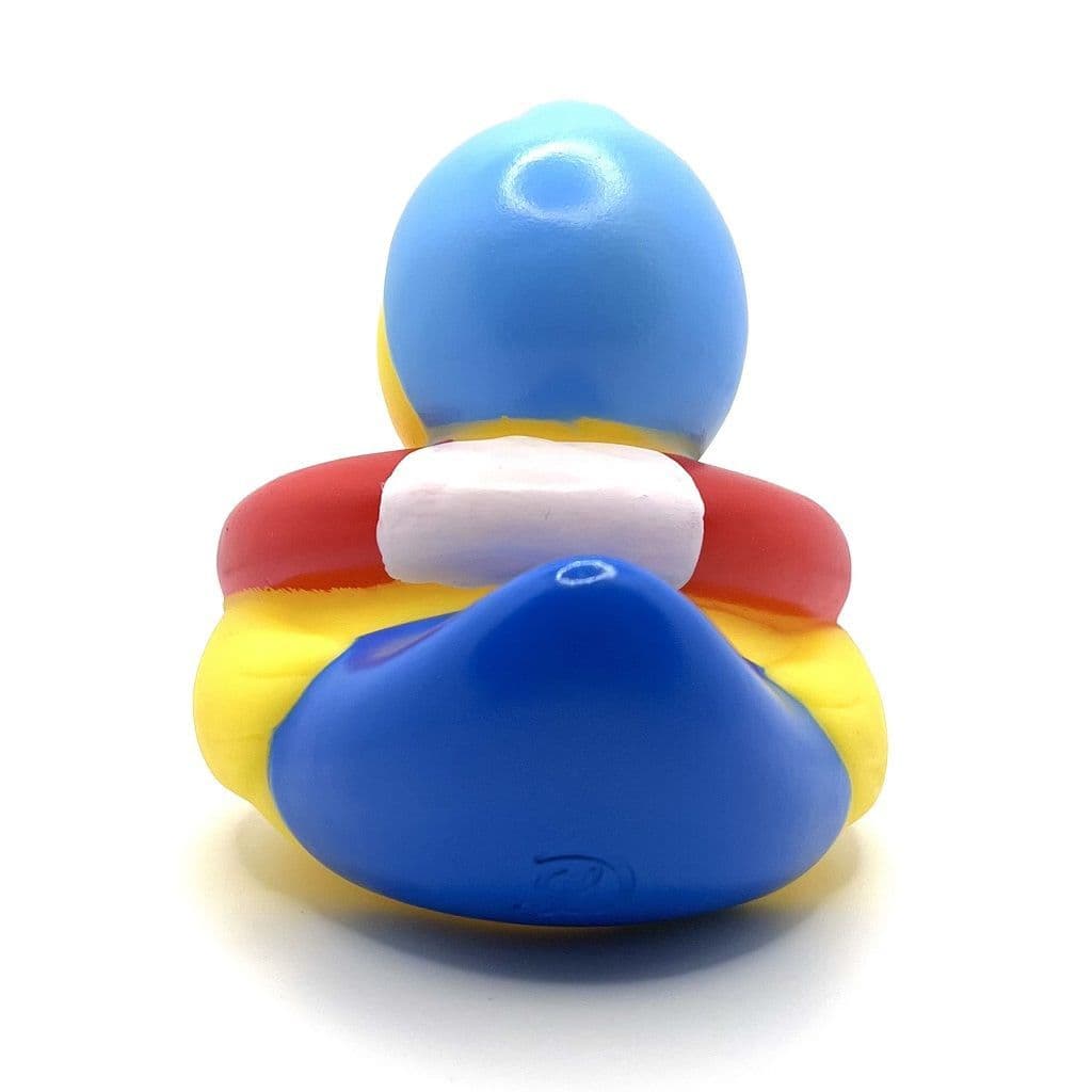 Swimmer Duck