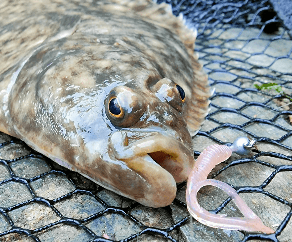 Big Lerf Lure Combo - Flounder
