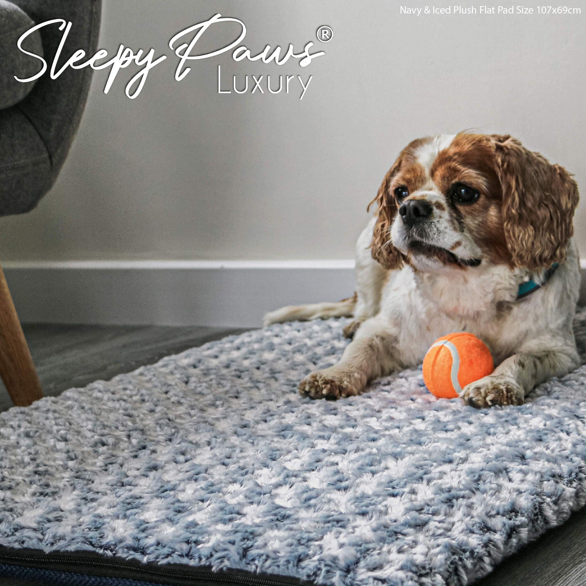 Ancol Sleepy Paws Flat Pad 122x76cm Navy & Ice