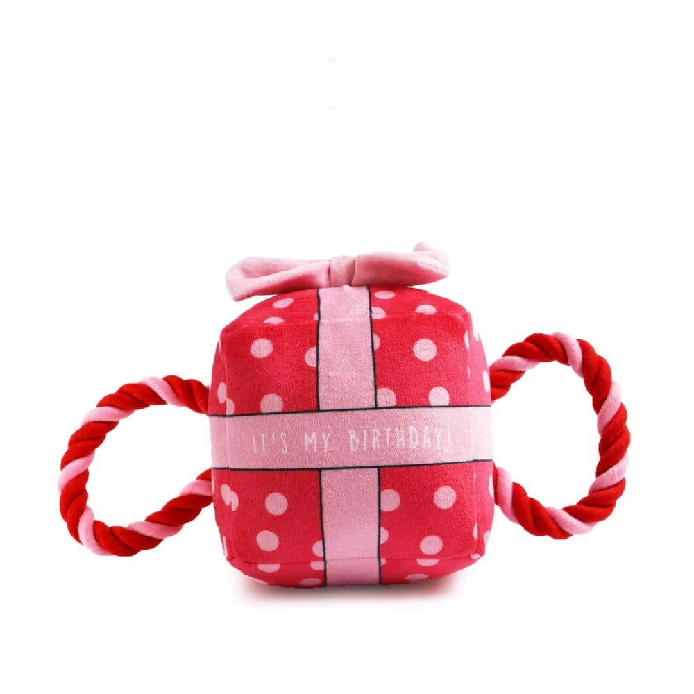 Ancol Its My Birthday Present in Pink Rope Dog Toy