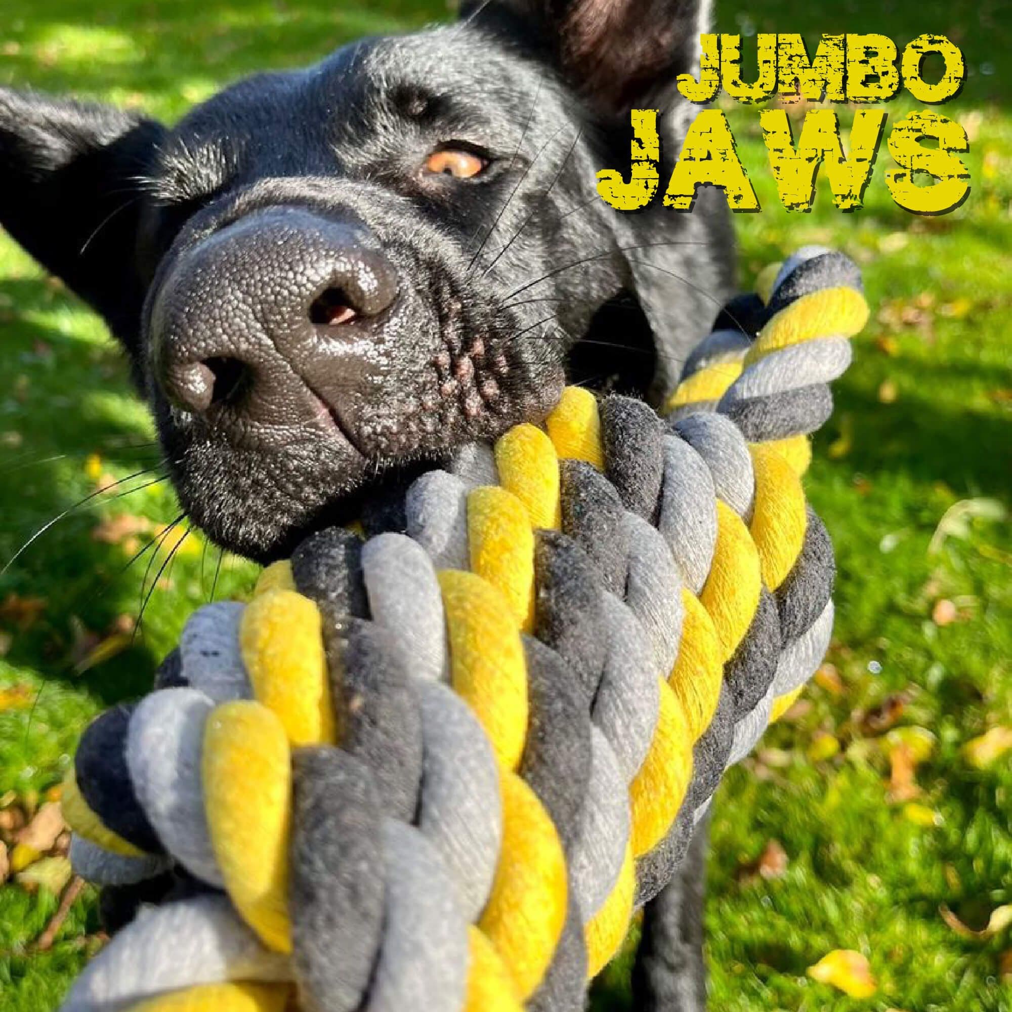 Ancol Jawables Jumbo Jaws Coil Tugger Dog Toy