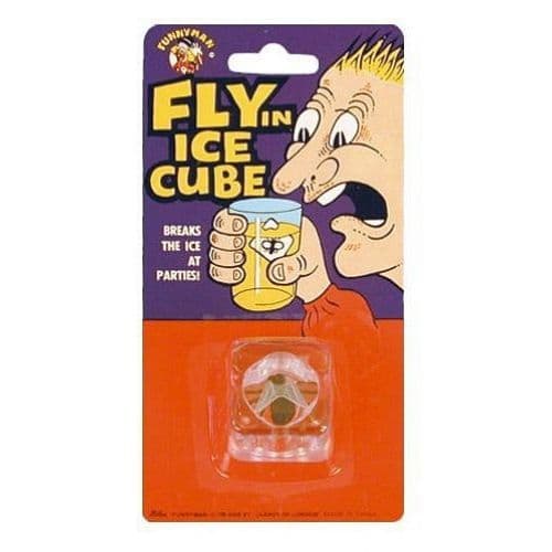 Fly in Ice Cube