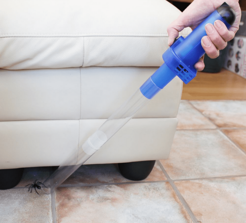 Bug Buster - Vacuum Spider Catcher
