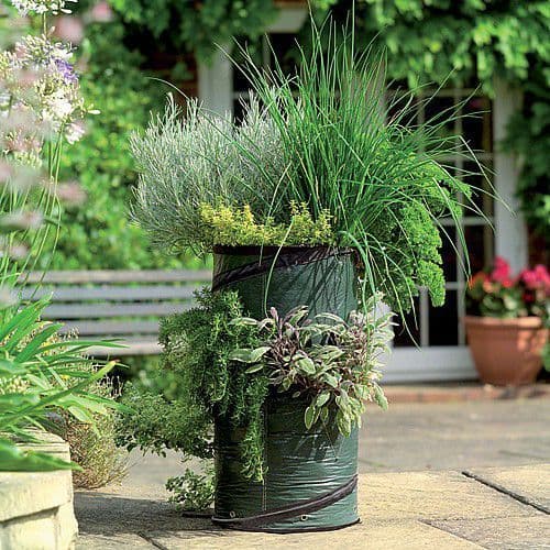 Pop Up Herb Planter, Herb Planter, Grow Fresh Herbs