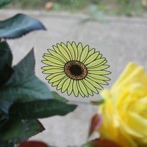 Rentokil Fly Trap Window Sticker