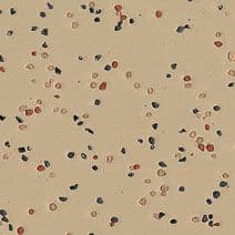 Polyflor Vinyl Flooring: Polysafe Ecomax - Allspice