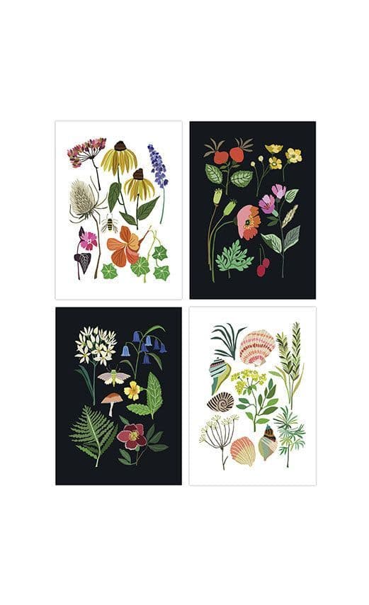 Brie Harrison Nature Series Postcard Pack