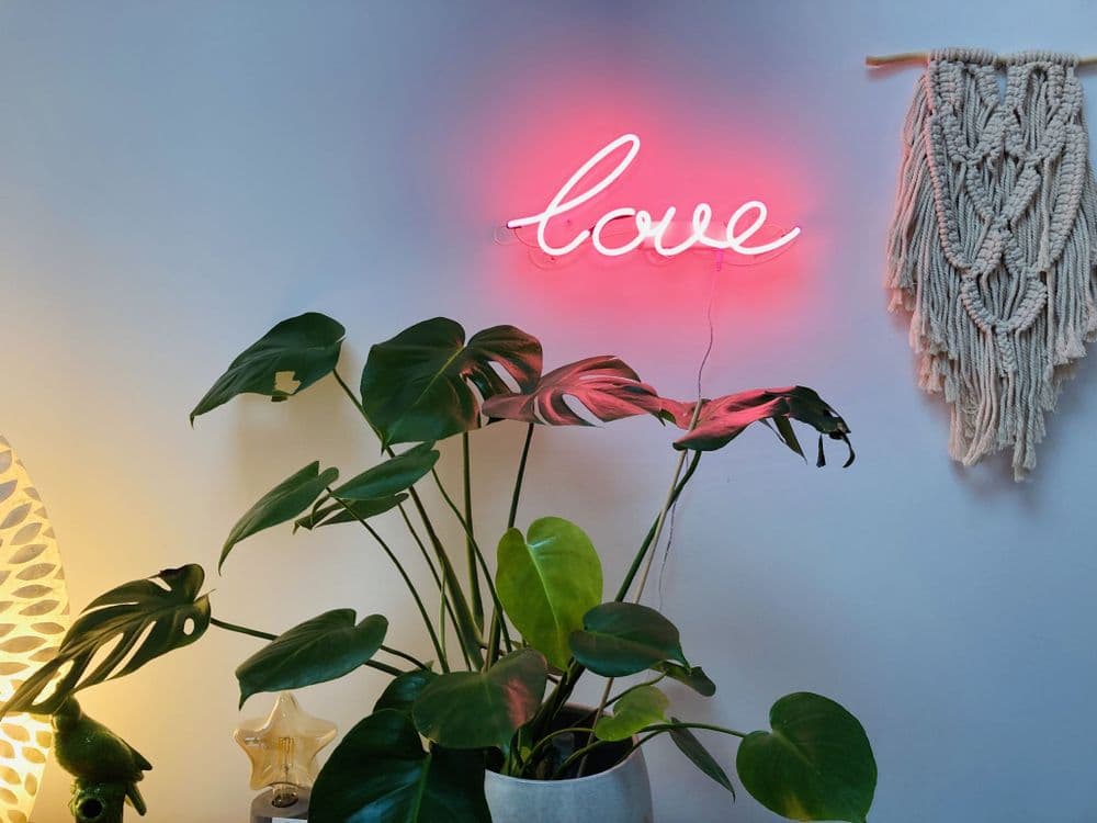 LOVE Pink Neon Mains Wall Statement Light