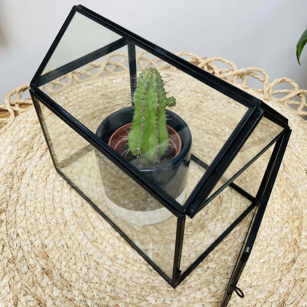 Zinc and Glass House Terrarium/Display Case