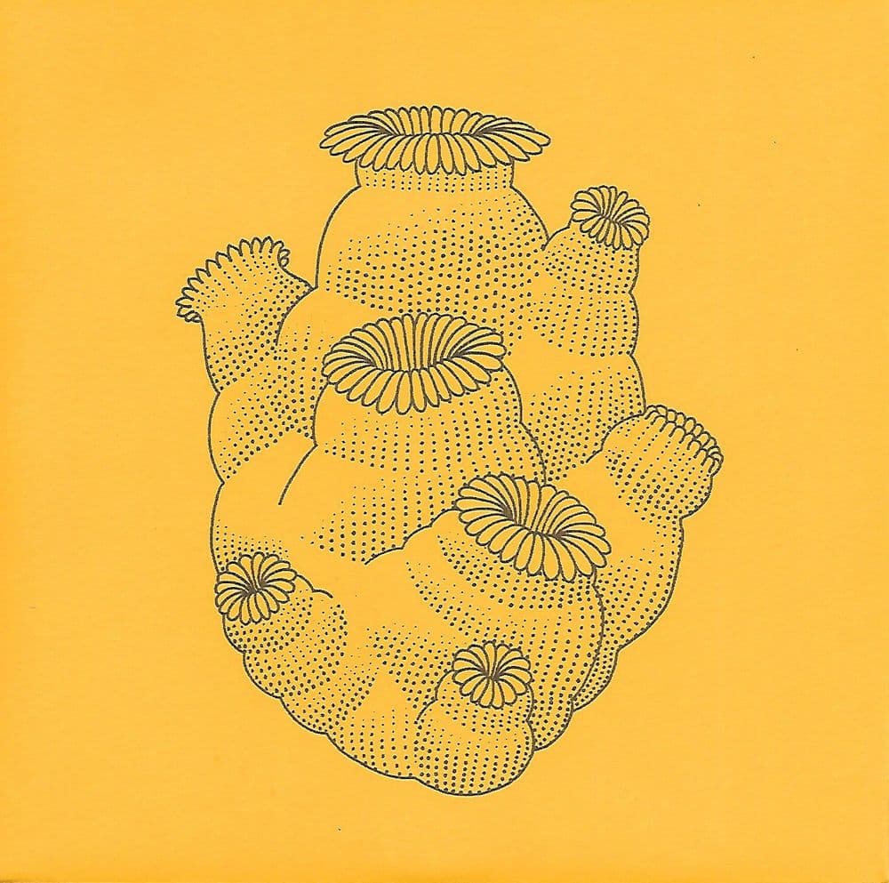 Elijah Minnelli - Bebe Durmiendo Cumbia / Dub Breadminster 7"