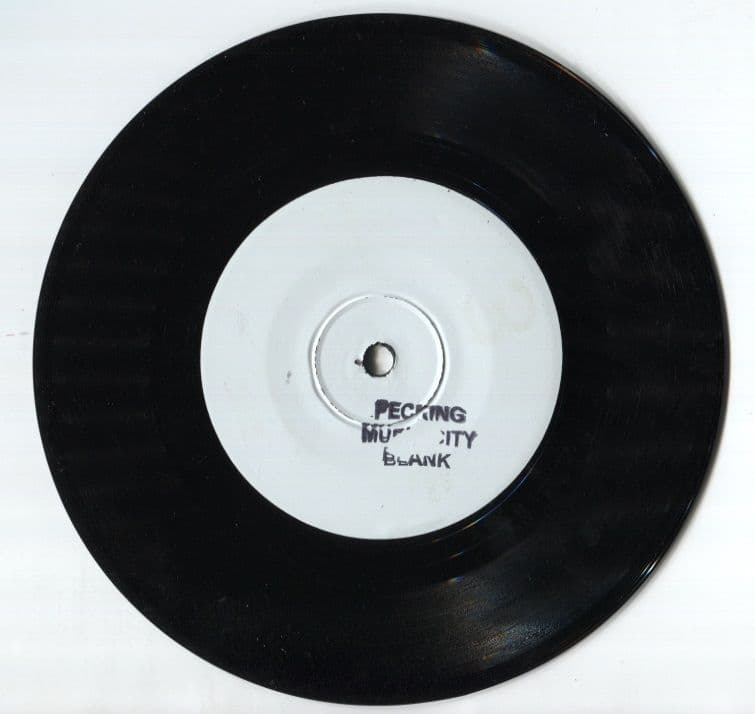 Kelly Makeda - Shake It Off / dancehall mix Peckings 7"