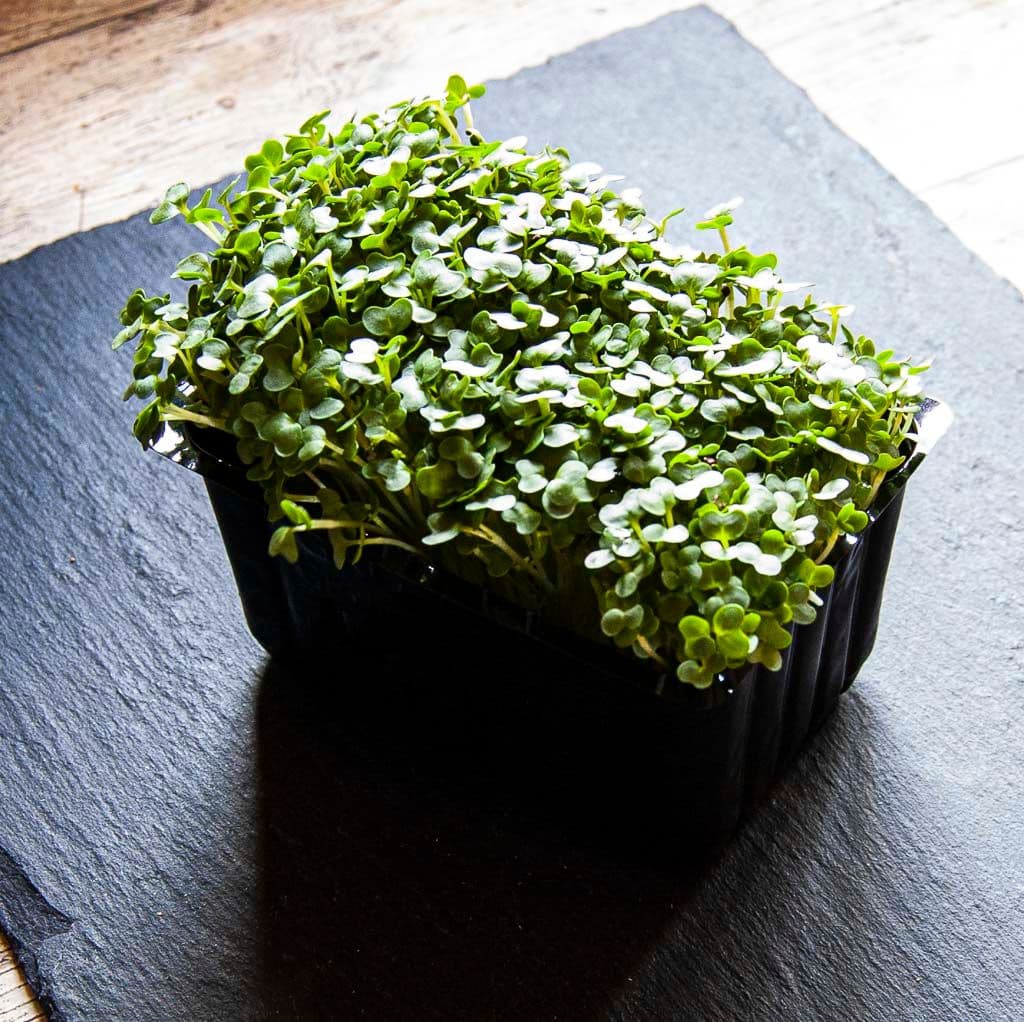 Cress Per Punnet