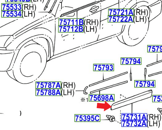 Genuine Toyota Moulding Front Door Outside Lower RH 75731-42110-B1