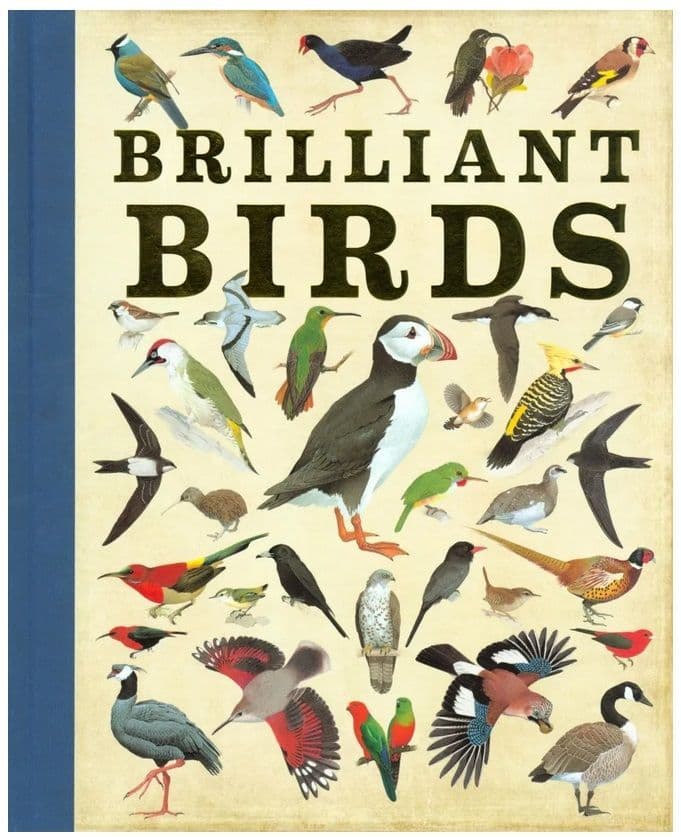 Brilliant Birds