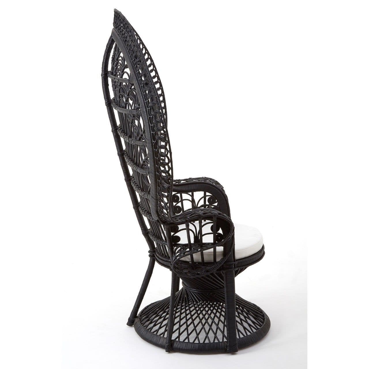 Peacock chair world market store