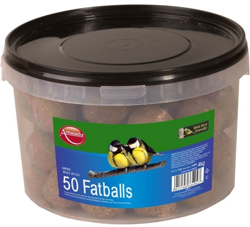 Ambassador Fat Balls - BIG 50 s Tub