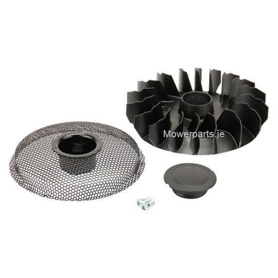 Flywheel Cooling Fan Set 796201 | Mowerparts.ie
