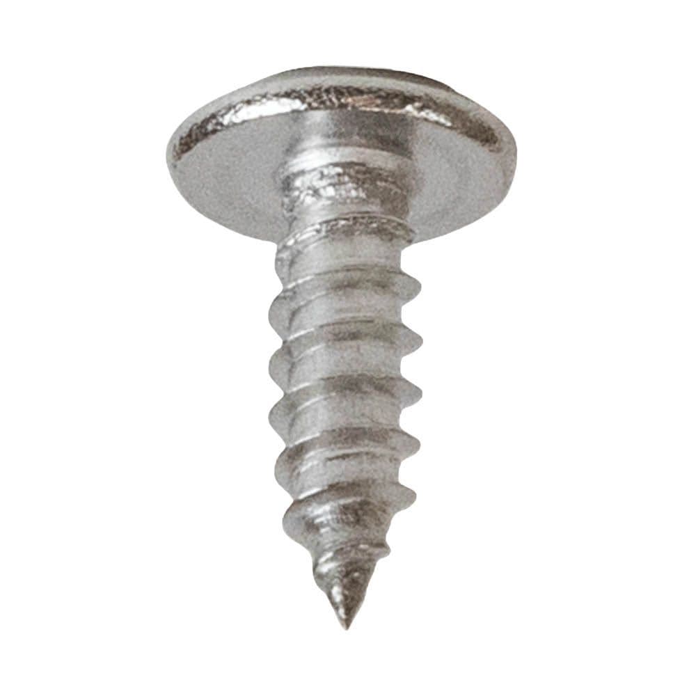 Crosswater Ten Hinged Door Screw ST4 12 THDS0020
