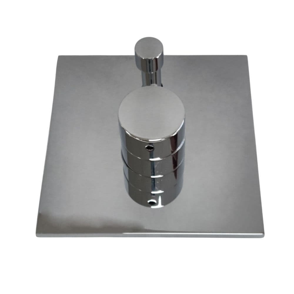 Fantini Cafe Thermostatic Built-in Bathtub/Shower Mixer 42 02 1823SB