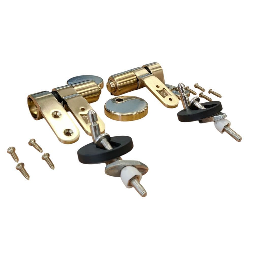 Heritage Solid Wood Brushed Brass Soft Closing Toilet Seat Hinges HY ...