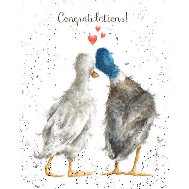 Duck Love Congratulations Card - OC054