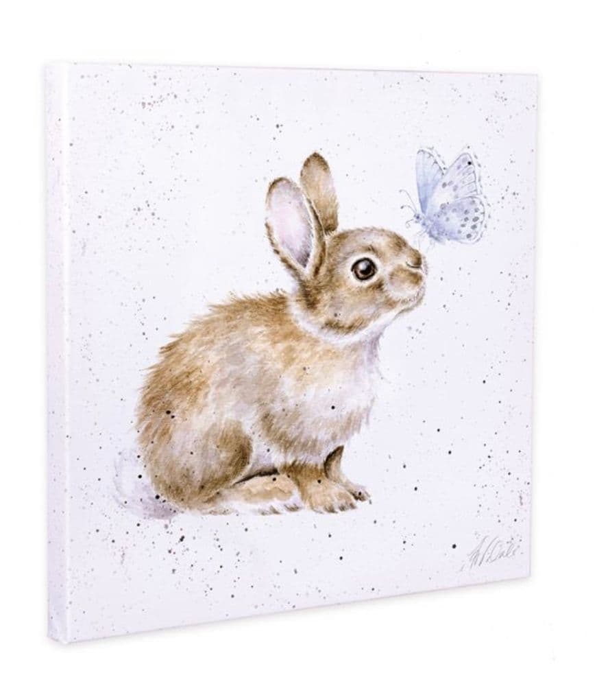I Spy Butterfly Rabbit Canvas