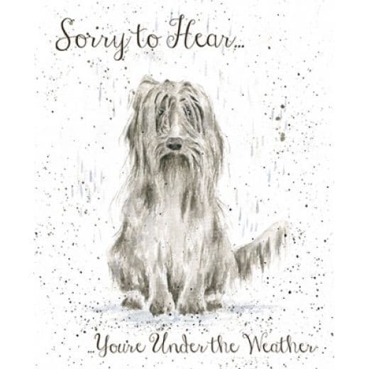 Under the Weather Get Well Card - OC024