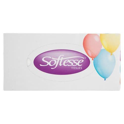 Softesse Family Facial Tissue 2 Ply White 100 Sheets 24 Boxes