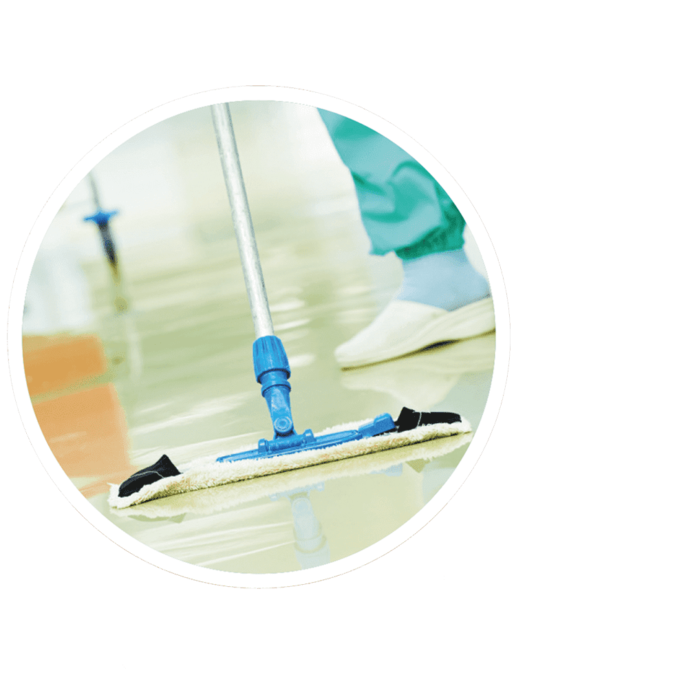 imshygiene.com, we are wholesaler and distributor of cleaning, hygiene ...